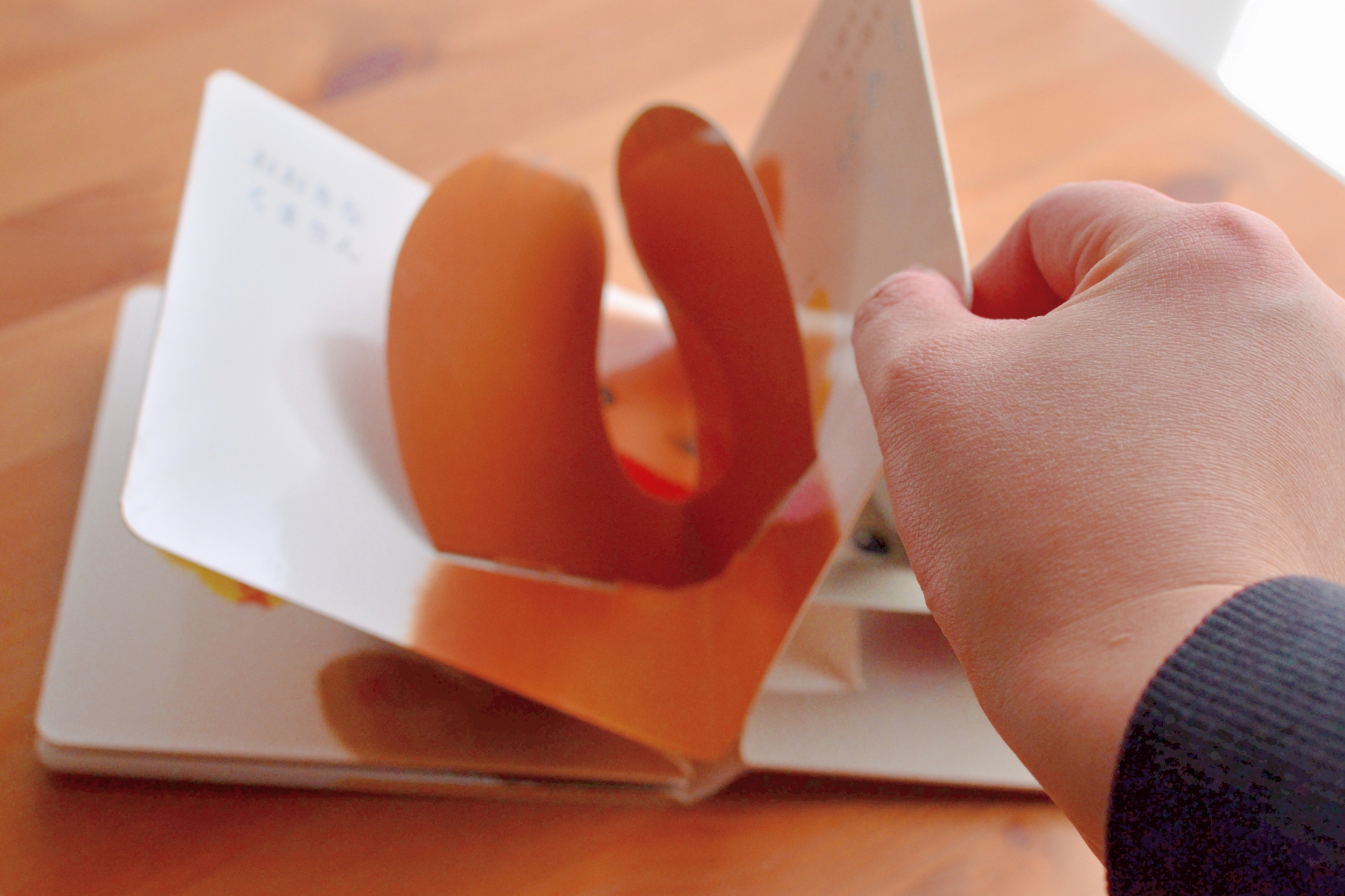 保育士がすすめる！5歳向け知育絵本12選！好奇心旺盛な時期に最適 | えがおのみらい